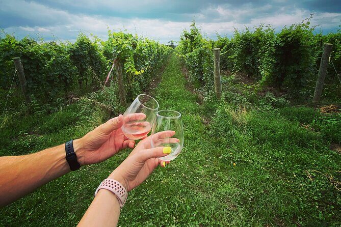 Lunch in the Vineyard: A Scenic Niagara Wine Tour Experience - The Experience of the Guide and Group Size