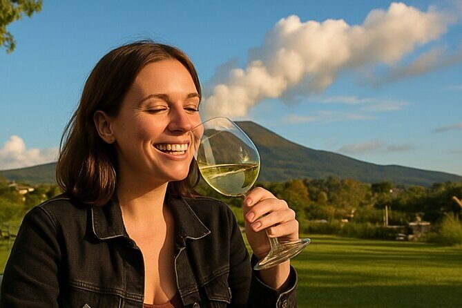 Lunch & Wine Tasting in the National Park of Mt Vesuvius - Key Points