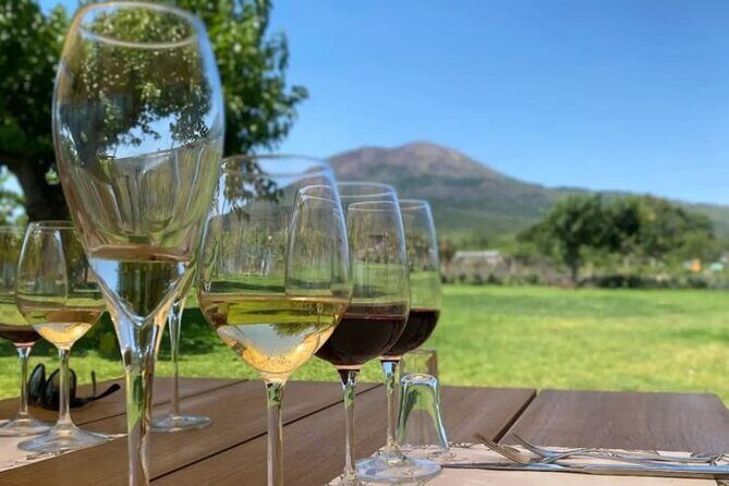 Lunch & Wine Tasting in the National Park of Mt Vesuvius - Who Would Love This Tour?