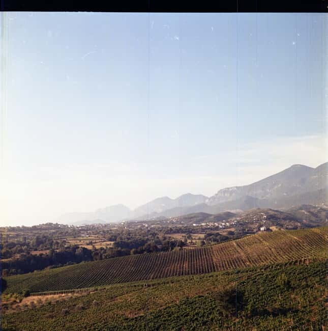 Lundër: Lundra Winery Guided Tour with Wine Tasting - What to Expect from the Lundra Winery Tour