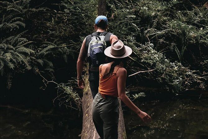 Lux Great Ocean Road Tour Reverse - Max 11 Hotel Pickup - FAQ