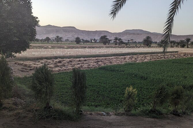 Luxor Half Day tour: Valley of the Kings, Hatshepsut and Memnon - The Sum Up