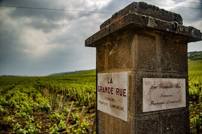 Luxurious Wine Tour in Burgundy - Why This Tour Stands Out