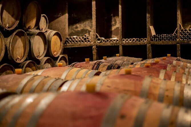 Luxurious Wine Tour in Burgundy - Final Thoughts