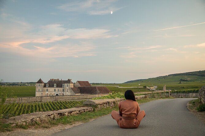 Luxurious Wine Tour in Burgundy - FAQ