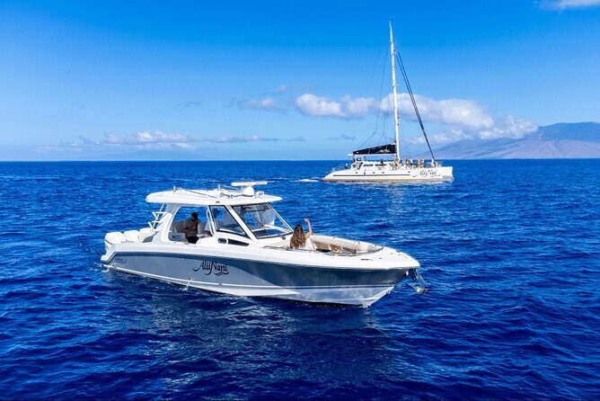 Luxury 6 passenger Boston Whaler Private Charter - FAQ