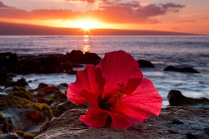 Luxury Airport Transfer in Hawaii - Analyzing the Value