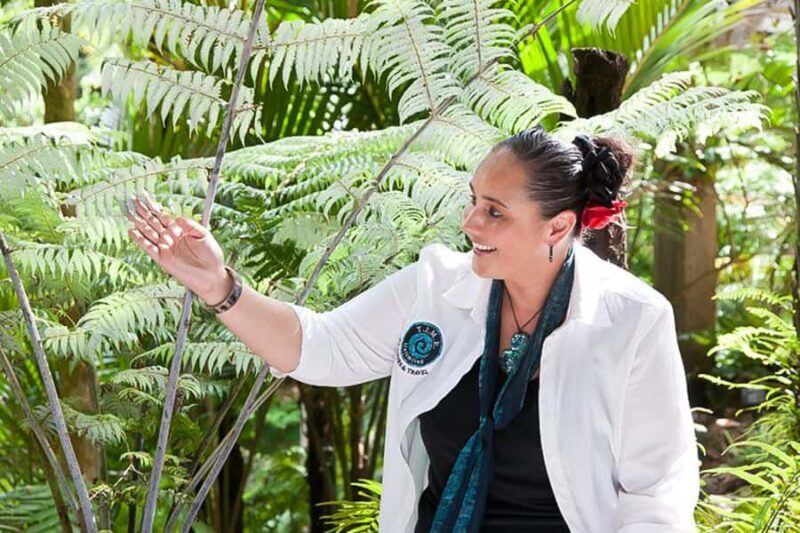 Luxury Auckland Maori Tour - A Day Filled with Iconic Sights and Hidden Corners