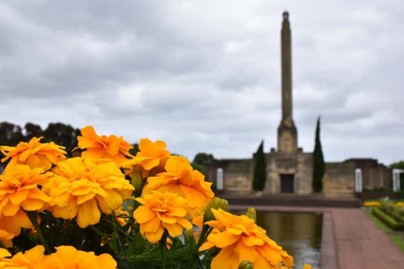 Luxury Auckland Maori Tour - Who Should Choose This Tour?