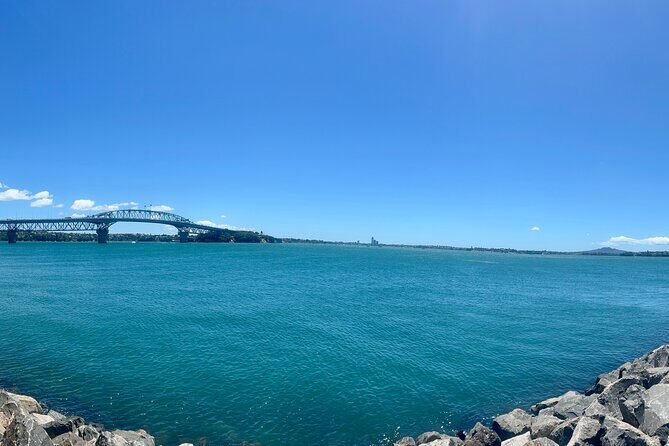 Luxury Auckland Private Tour in Modern Black Mercedes Tourer - Final Thoughts