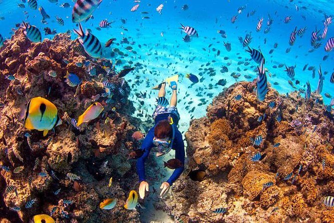 LUXURY Catamaran Bora Bora : Sailing, Snorkeling & Floating Bar - The Sum Up