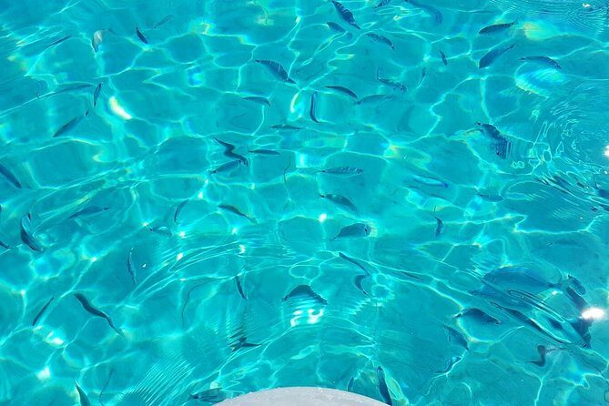 Luxury catamaran from Porto Rafael-Palau to the Maddalena Archipelago - The Sum Up: Is It Worth It?