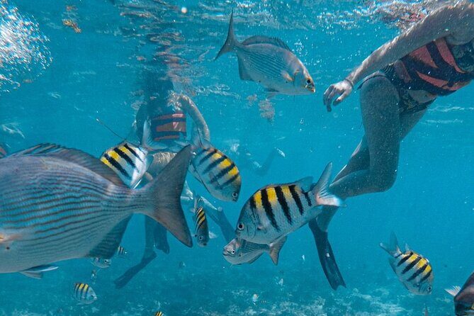 Luxury Catamaran to Isla Mujeres, Snorkeling, Buffet and Ice Bar - FAQ