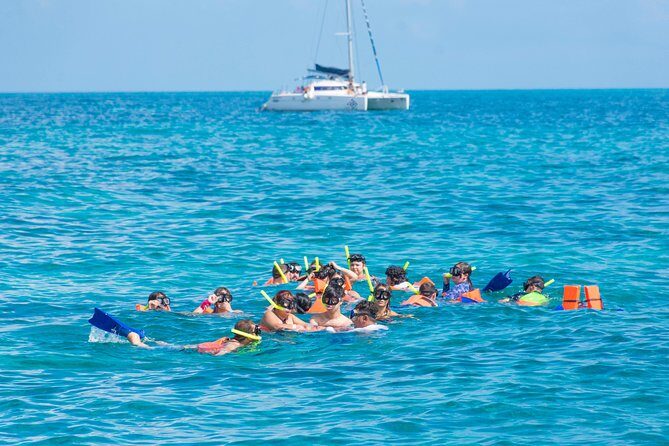 Luxury Catamaran tour to Isla Mujeres with transportation from Playa del Carmen - What Reviewers Say: Authentic Perspectives