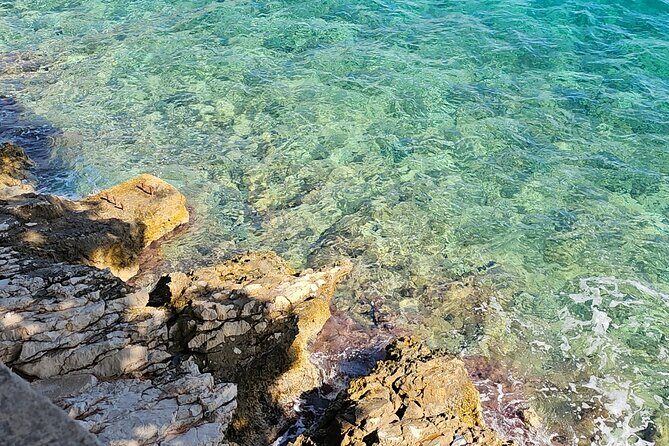 Luxury Day tour to Korula - Transportation and Comfort