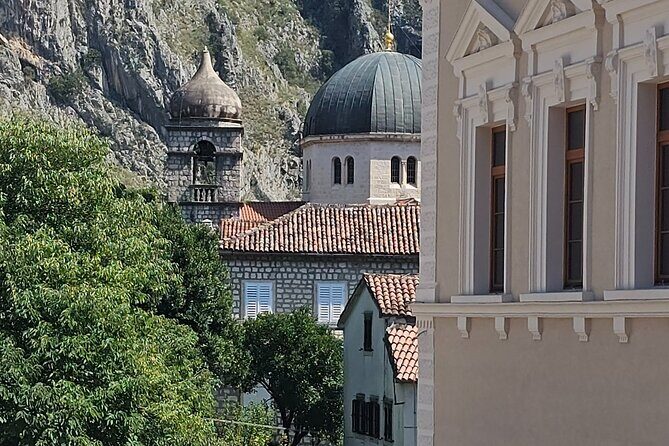 Luxury Day tour to Montenegro - Authentic experiences and insights from reviews