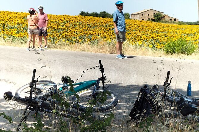 Luxury Eno and Oil experience, by e-bike and more... - Why This Tour Works