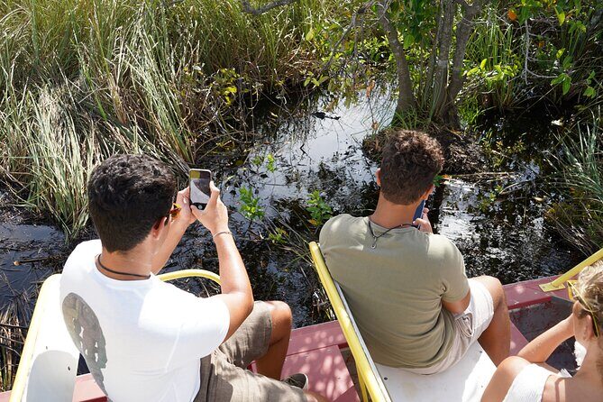 Luxury Everglades Excursion - The Itinerary Breakdown: What to Expect