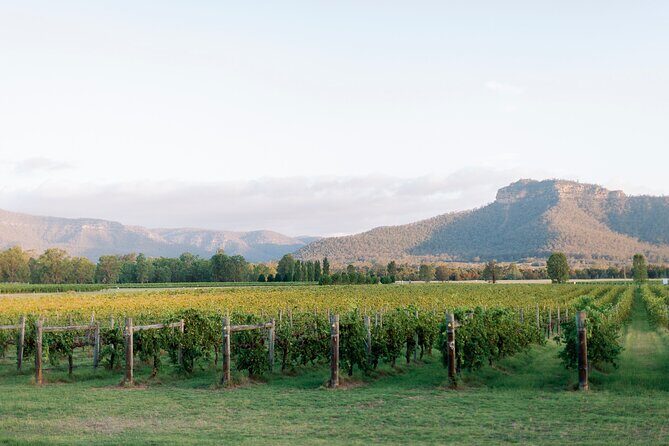 Luxury Hunter Valley Tour: 3 Tastings, Gin, Lunch & Chocolatier - What Could Be Improved?