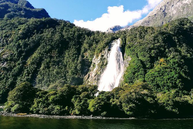 Luxury Milford Sound Coach and Scenic Cruise - The Sum Up