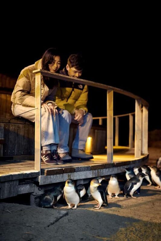 Luxury Phillip Island Tour for Families & Explorers 10 Max - Frequently Asked Questions