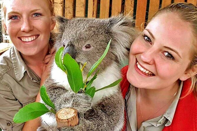 Luxury Phillip Island Tour for Families & Explorers [up to 10Pax] - A Balanced Look at the Phillip Island Experience