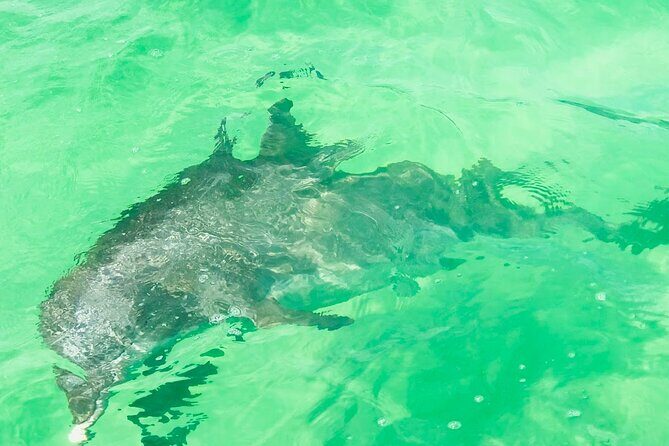 Luxury Pontoon Rental-Explore Pensacola Waters - The Experience and Atmosphere