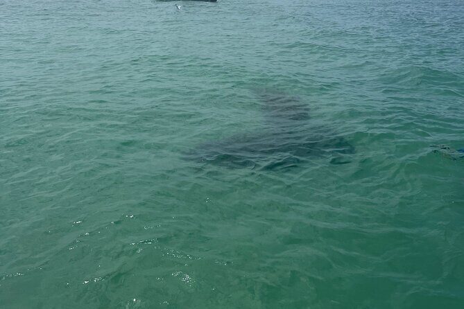 Luxury Private Boat Adventure in Tampa Bay - The Experience in Detail