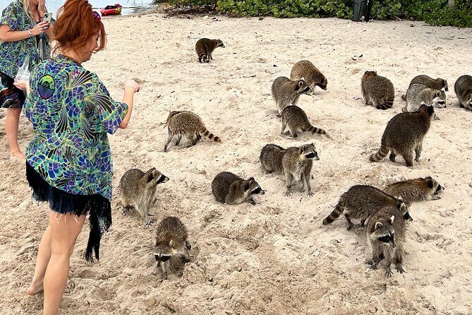 Luxury Private Boat Tour from Miami Beach - Introduction