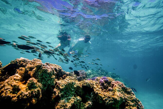 LUXURY PRIVATE Catamaran Bora Bora : Half-Day Trip - Who Is This Tour Perfect For?