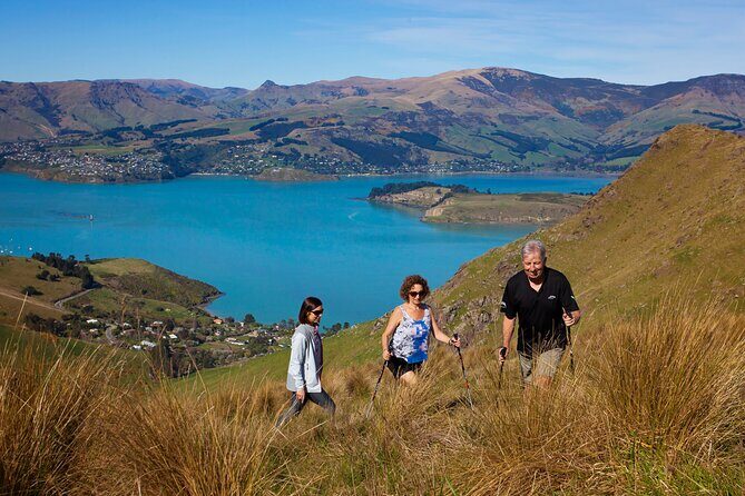 Luxury Private Guided Crater Rim Walk on Banks Peninsula - An In-Depth Look at the Experience