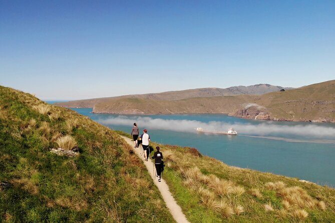 Luxury Private Guided Crater Rim Walk on Banks Peninsula - Who Would Love This Tour?