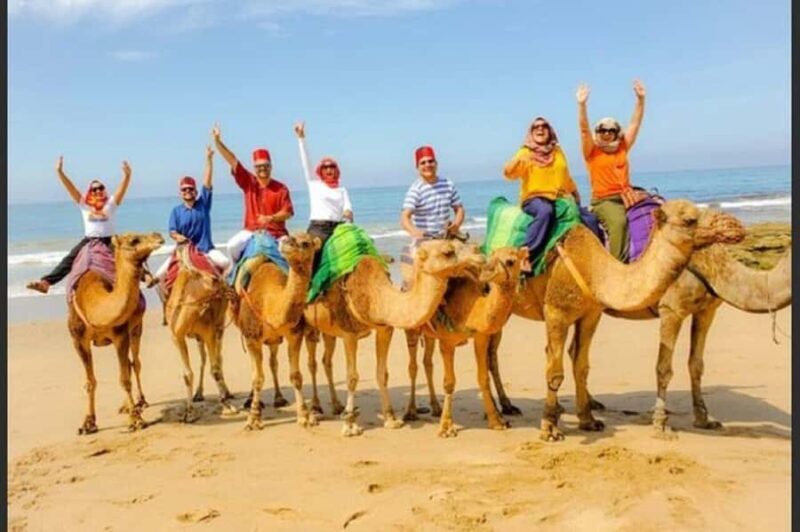 Luxury Private Tangier Tour from Marbella all inclusive - Introduction