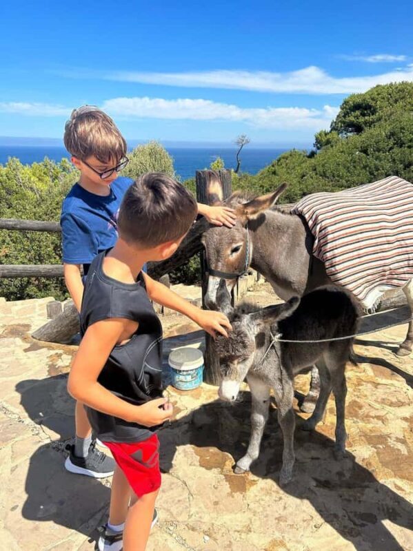 Luxury Private Tangier Tour from Marbella all inclusive - The Sum Up