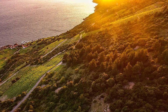 Luxury private transfer Split - Dubrovnik with lunch in Ston - Who Is This Tour Best For?  