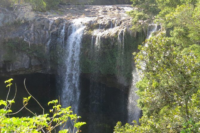 Luxury Private Transfers: Auckland Airport to City - Who Will Love This Service?