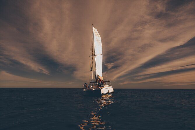 Luxury Sailing Whale Watch and The Arch (Dec 15 - Apr 15) - Exploring the Experience in Detail