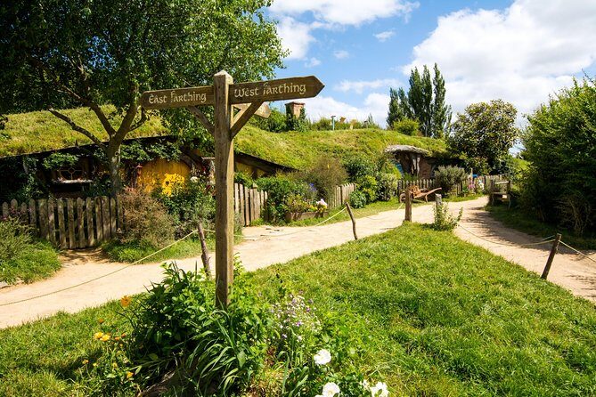 Luxury Small group tour from Auckland to Hobbiton Movie Set - Key Points