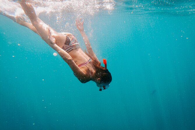 Luxury Snorkel Adventure in Cabo - Additional Resources