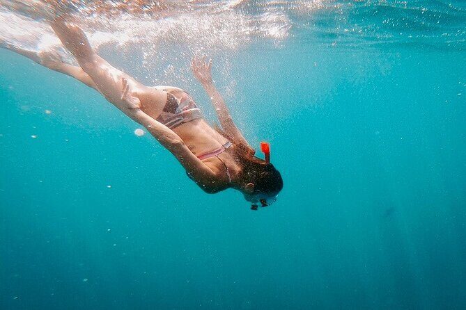 Luxury Snorkeling Tour in Cabo San Lucas - Who Is This Tour Best For?