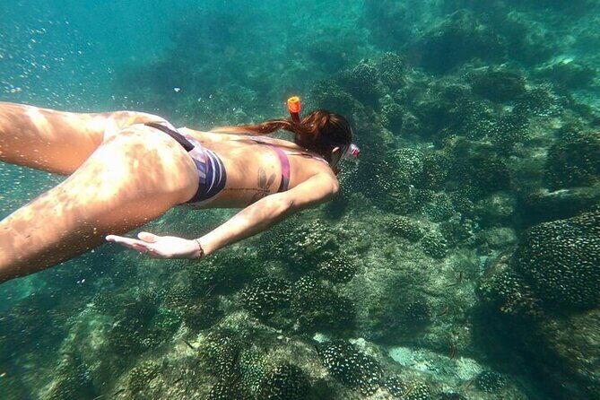 Luxury Snorkeling Tour in Cabo San Lucas - An In-Depth Look at the Experience