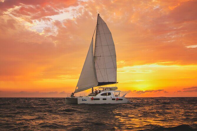 Luxury Sunset Sailing Cruise in Cancun with Light Dinner and Open Bar - What You Can Expect on This Sunset Cruise