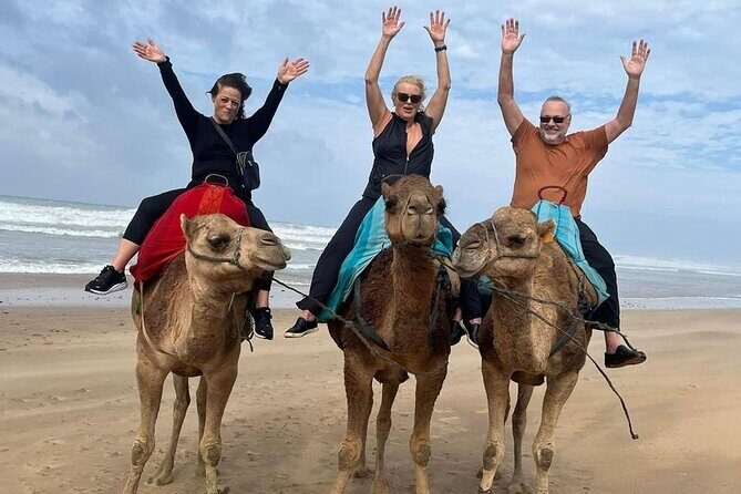 Luxury Tangier Private Day Tour from Malaga All inclusive - The Full Breakdown: What You Can Expect on This Private Day Tour