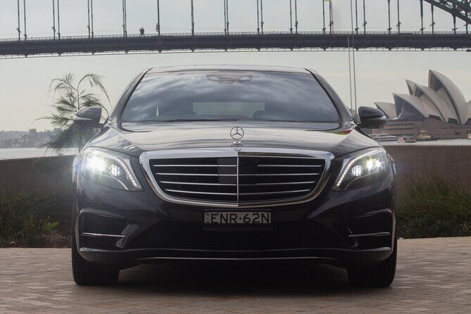 Luxury Van - Sydney Airport Private Arrival Transfer - Who Should Consider This Service?