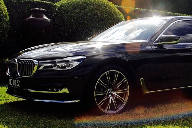 Luxury Van - Sydney Airport Private Departure Transfer - Who Will Love This Service?