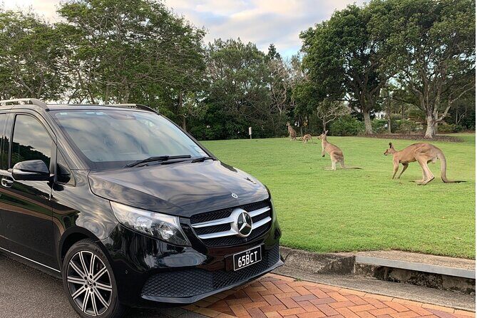 Luxury Vehicle Transfers Gold Coast Airport to Gold Coast Hotels - Key Points