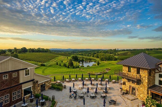 Luxury Wine Tour in Washington DC to Loudoun County Vineyards - Authentic Experiences and Guest Insights