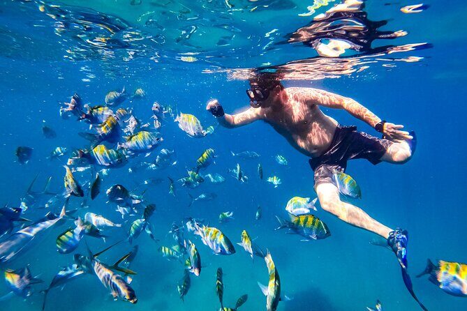 Luxury Yacht & Snorkel with All inclusive Open bar and lunch - The Sum Up