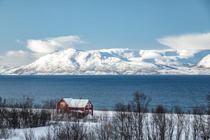 Lyngen: Snowmobile Safari with Lunch in seaside Restaurant - What to Expect from the Snowmobile Safari Experience