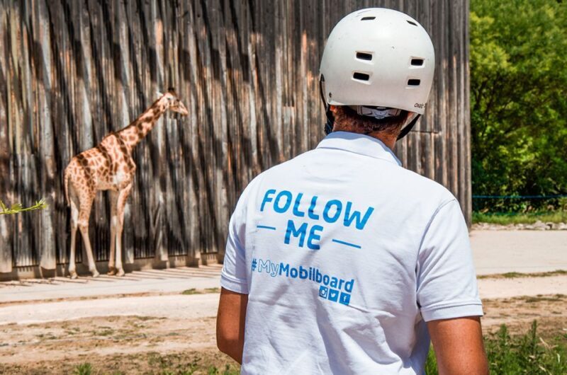 Lyon: City Segway Tour with a Local Guide - FAQ